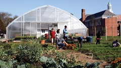 Greenhouse Provides Space for Growing and Learning | American School ...