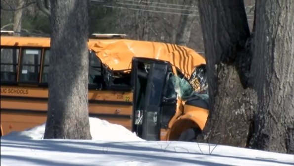 School bus driver in Connecticut dies after tree falls on bus ...